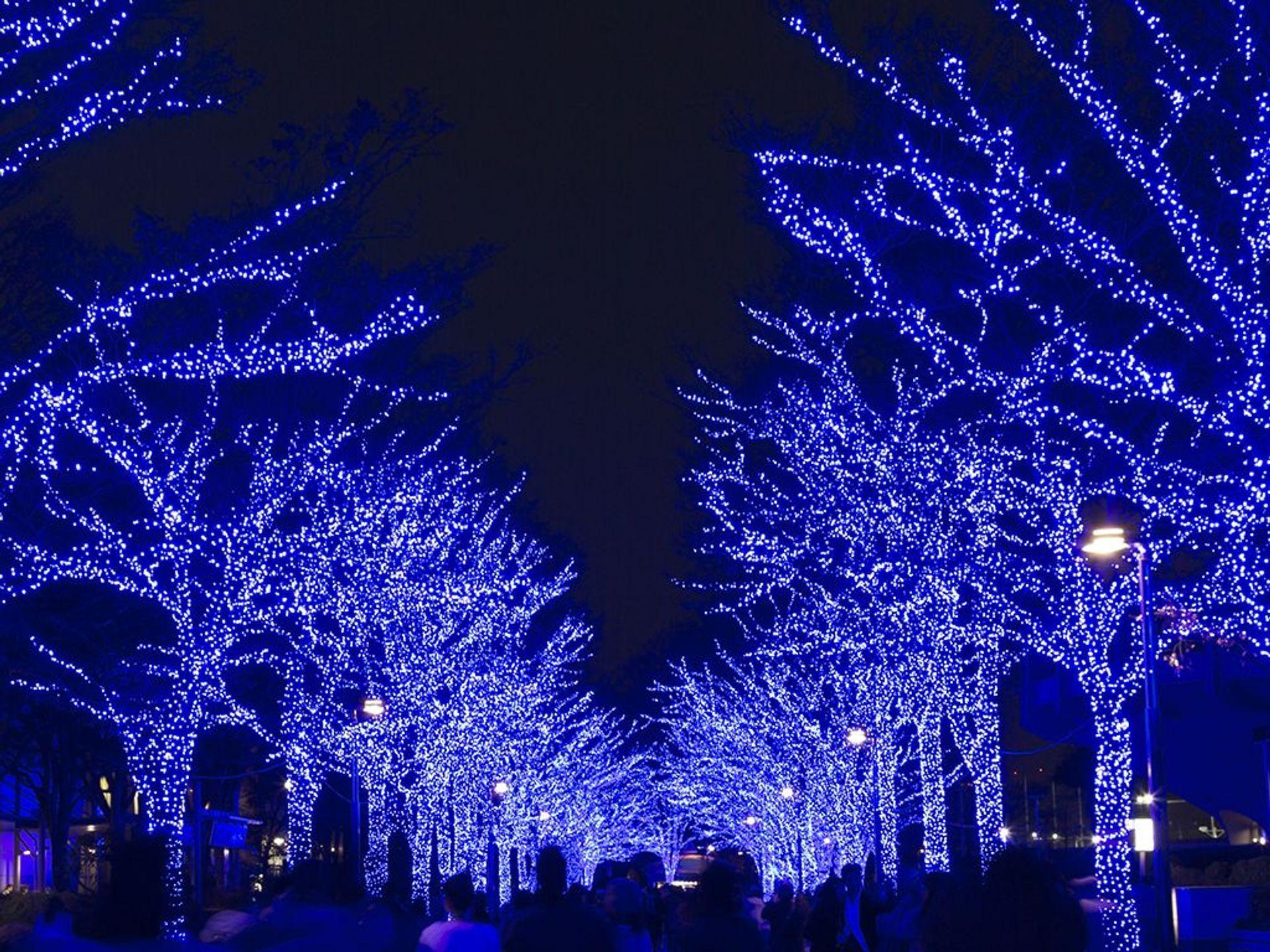 Christmas Japan Wallpapers - Top Free Christmas Japan Backgrounds ...