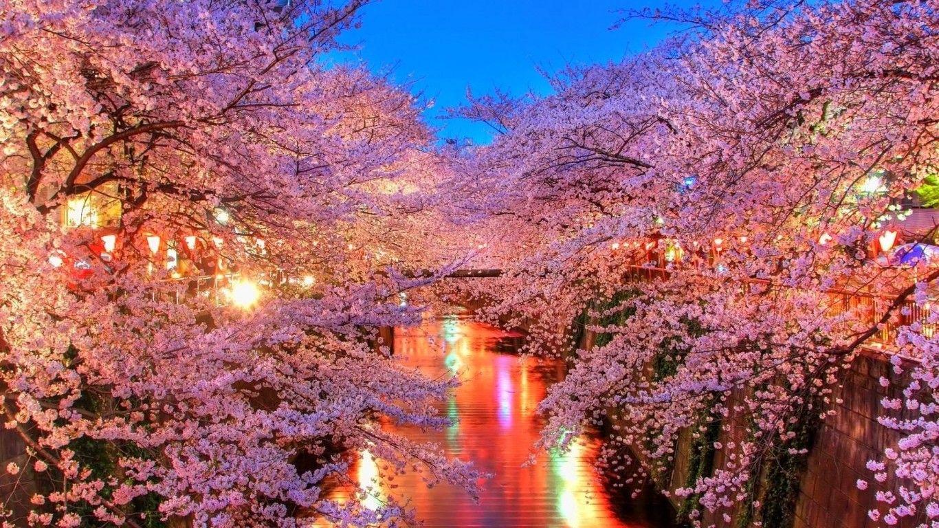 Christmas Japan Wallpapers - Top Free Christmas Japan Backgrounds ...