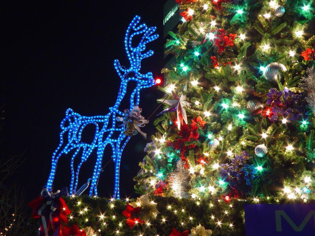 Christmas Japan Wallpapers - Top Free Christmas Japan Backgrounds ...