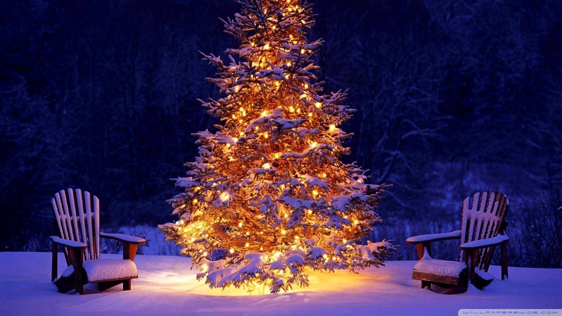 Outdoor Christmas Wallpapers - Top Free Outdoor Christmas Backgrounds ...