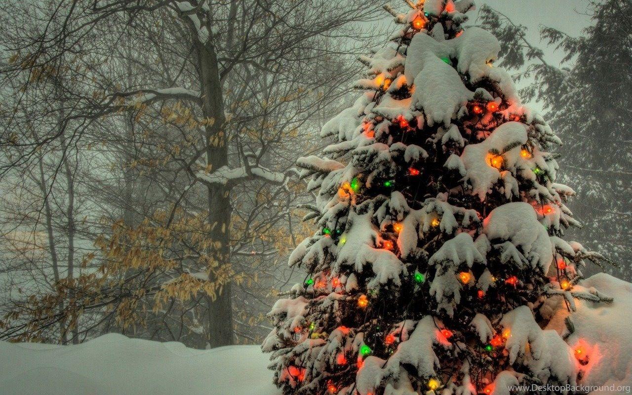 Outdoor Christmas Wallpapers - Top Free Outdoor Christmas Backgrounds ...