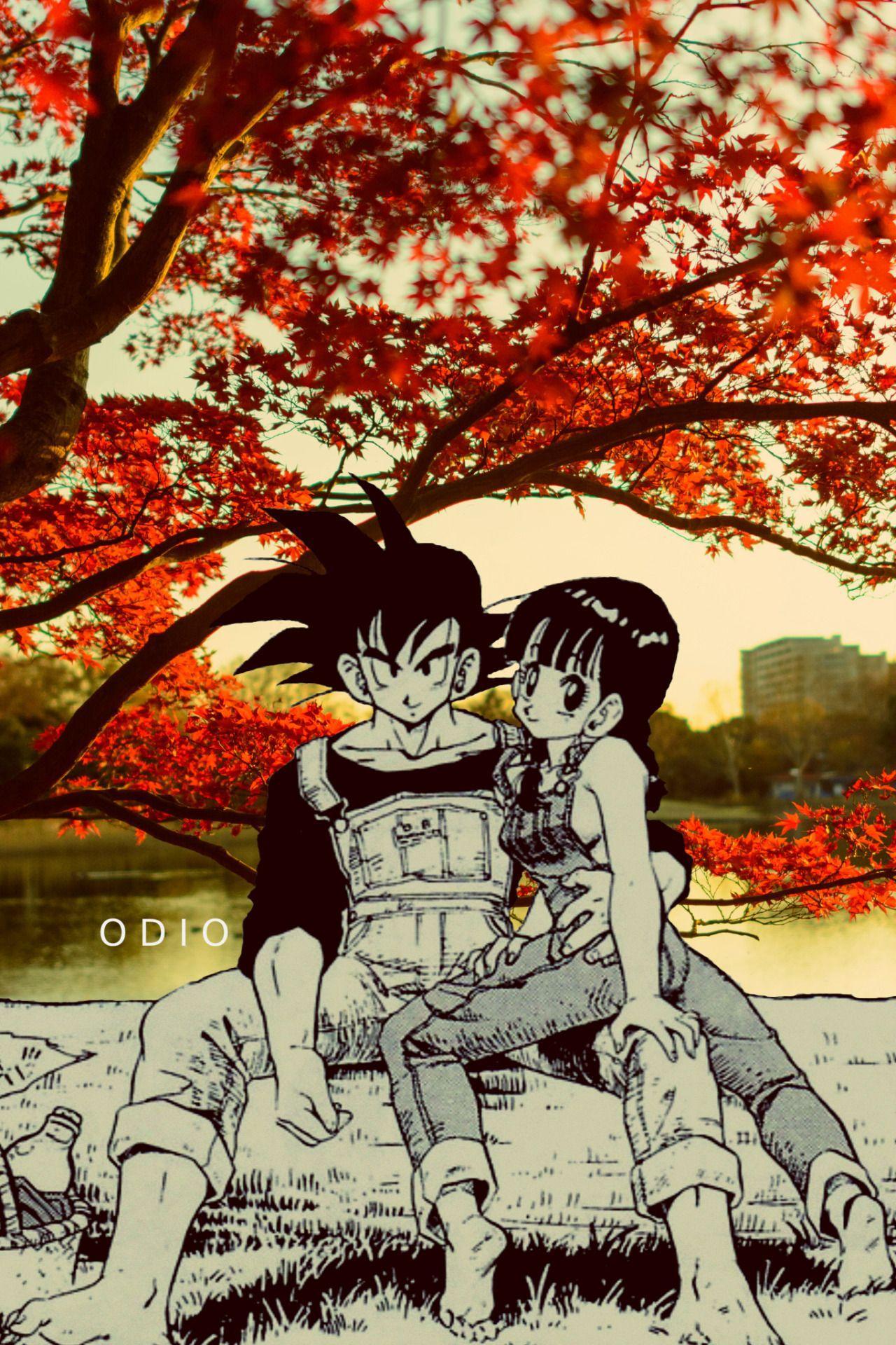 Dragon Ball Aesthetic Wallpapers - Top Free Dragon Ball Aesthetic ...