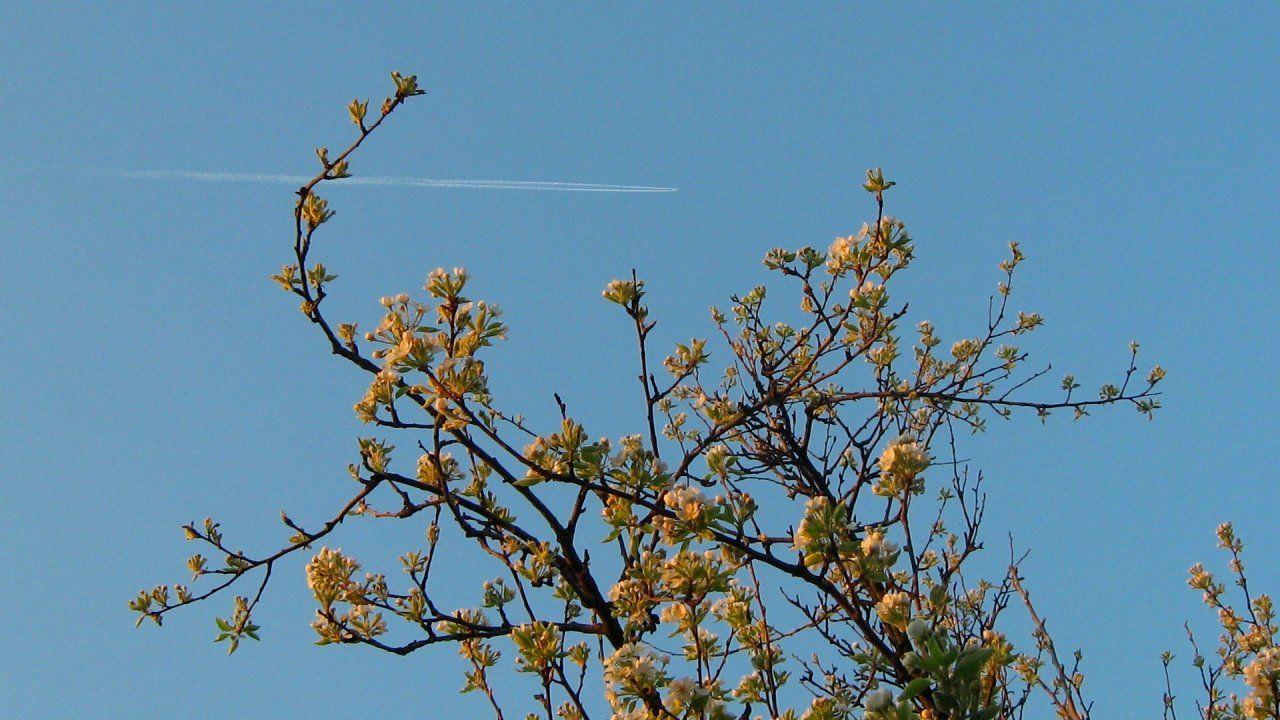 Tumblr MacBook Wallpapers - Top Free Tumblr MacBook Backgrounds ...