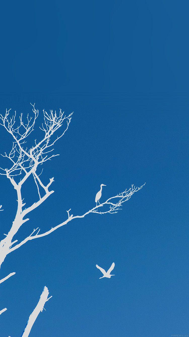 Minimal Tree Wallpapers - Top Free Minimal Tree Backgrounds ...