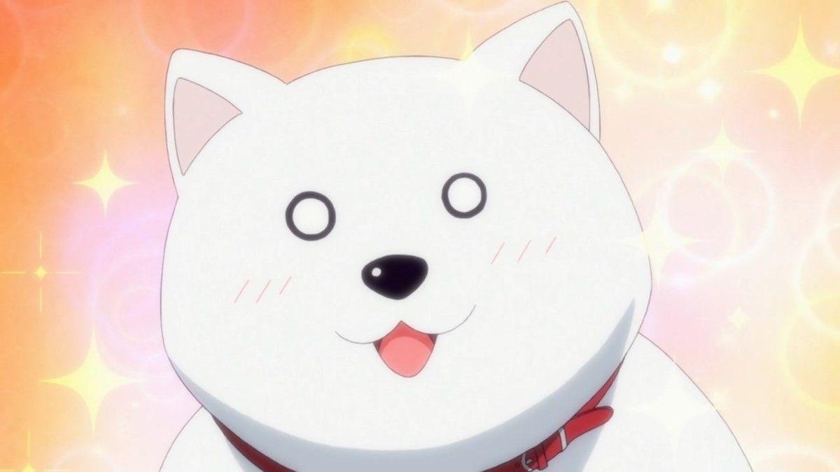 Aho Girl Wallpapers - Top Free Aho Girl Backgrounds - WallpaperAccess