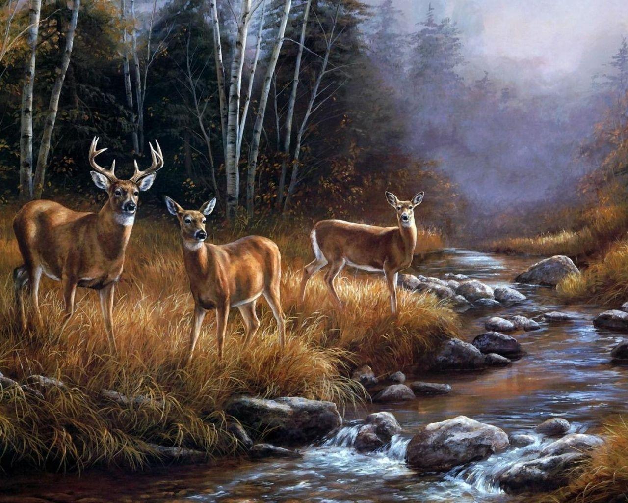 Forest Deer Wallpapers - Top Free Forest Deer Backgrounds - WallpaperAccess