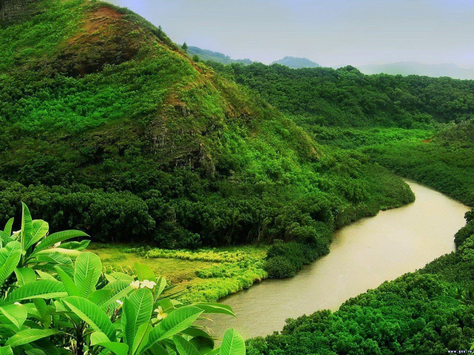 Amazonas Wallpapers - Top Free Amazonas Backgrounds - WallpaperAccess
