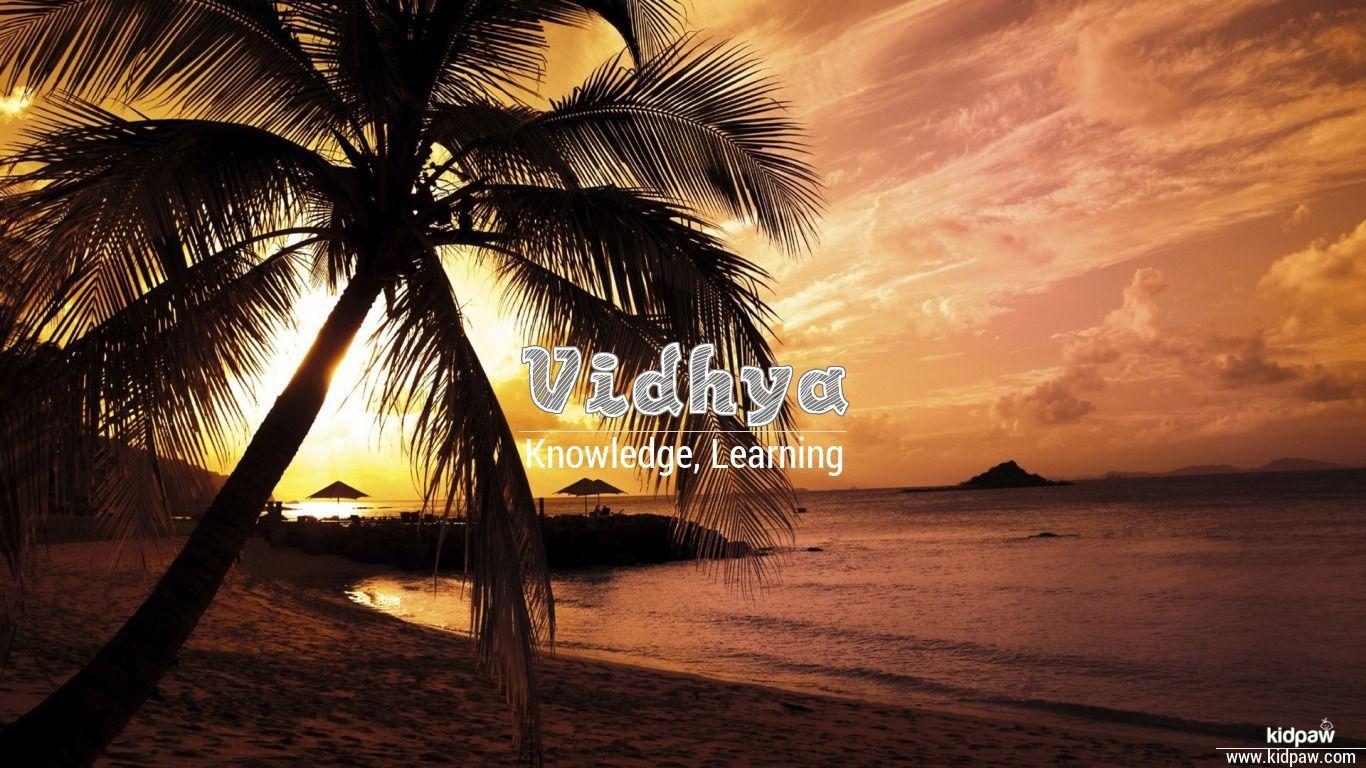Vidhya Wallpapers - Top Free Vidhya Backgrounds - WallpaperAccess