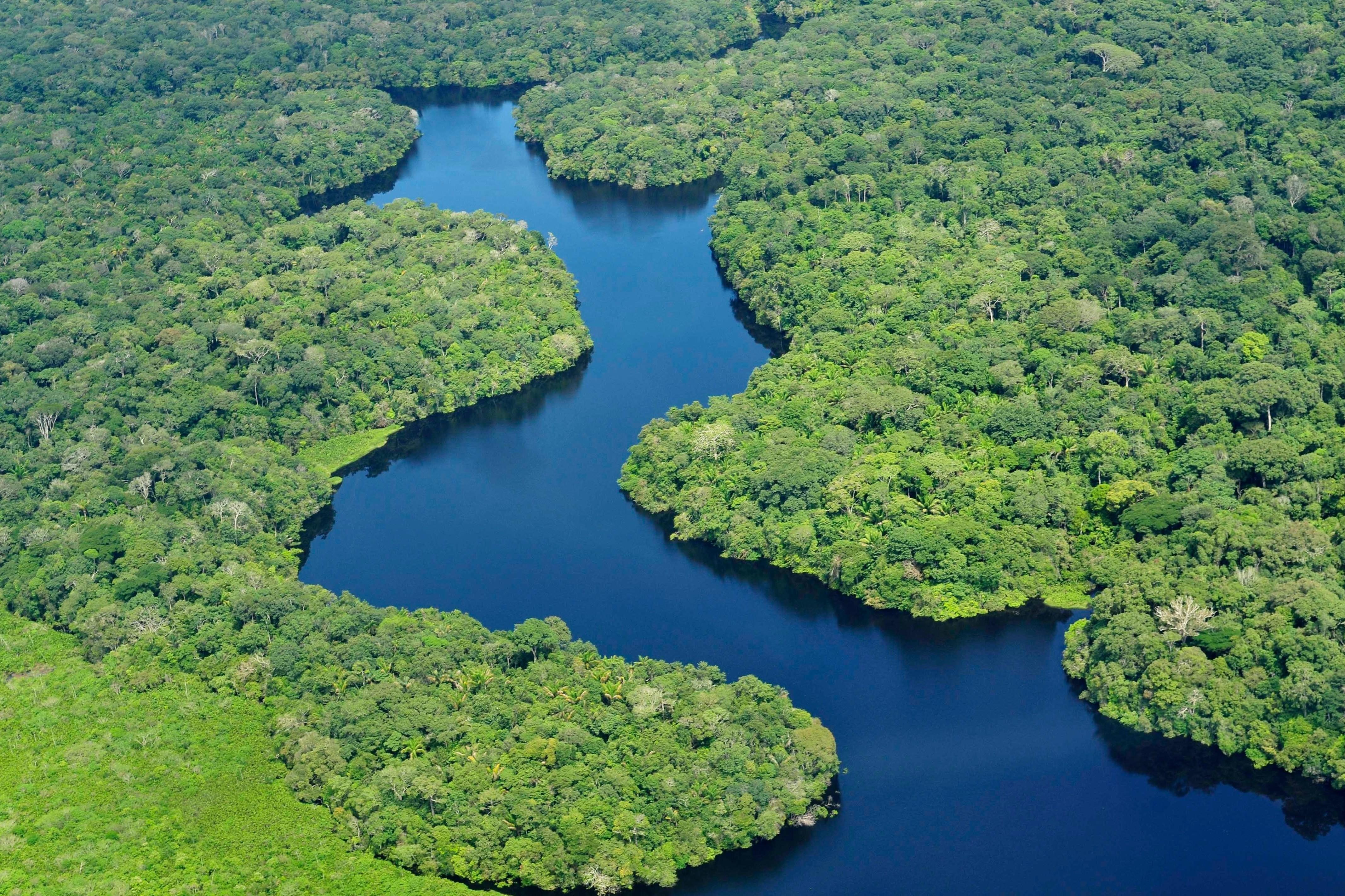 Amazonas Wallpapers - Top Free Amazonas Backgrounds - WallpaperAccess