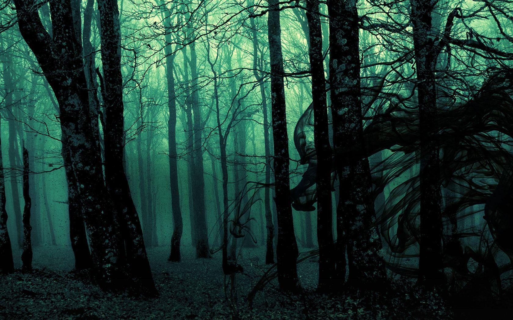 2D Forest Wallpapers - Top Free 2D Forest Backgrounds - WallpaperAccess