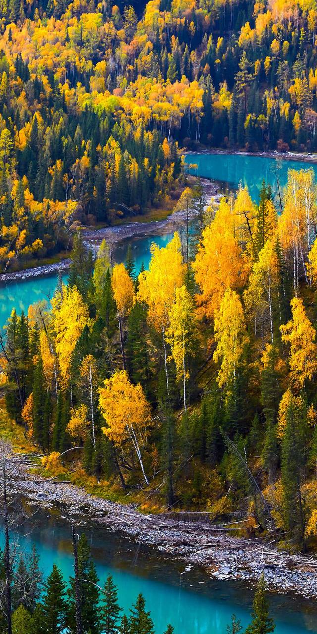 2D Forest Wallpapers - Top Free 2D Forest Backgrounds - WallpaperAccess