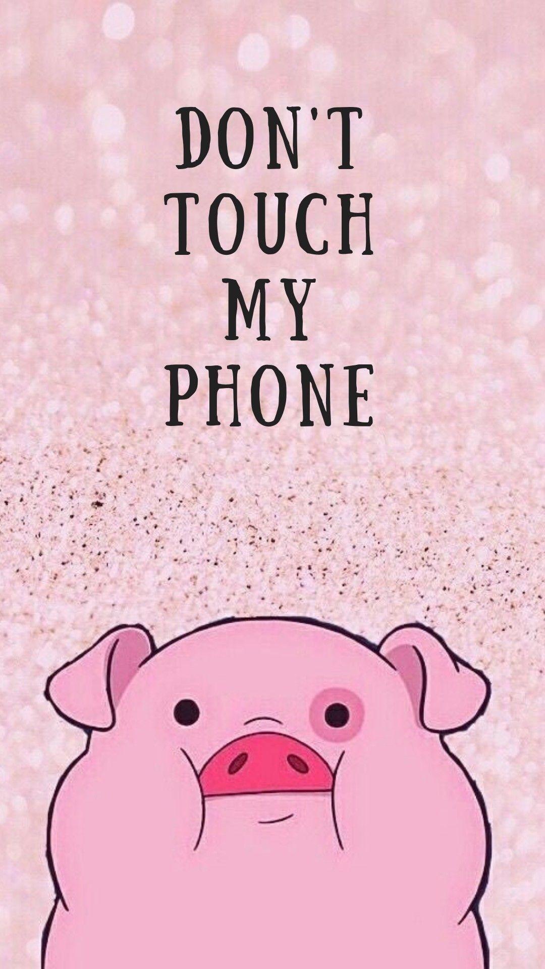 Funny Pig Wallpapers - Top Free Funny Pig Backgrounds - WallpaperAccess
