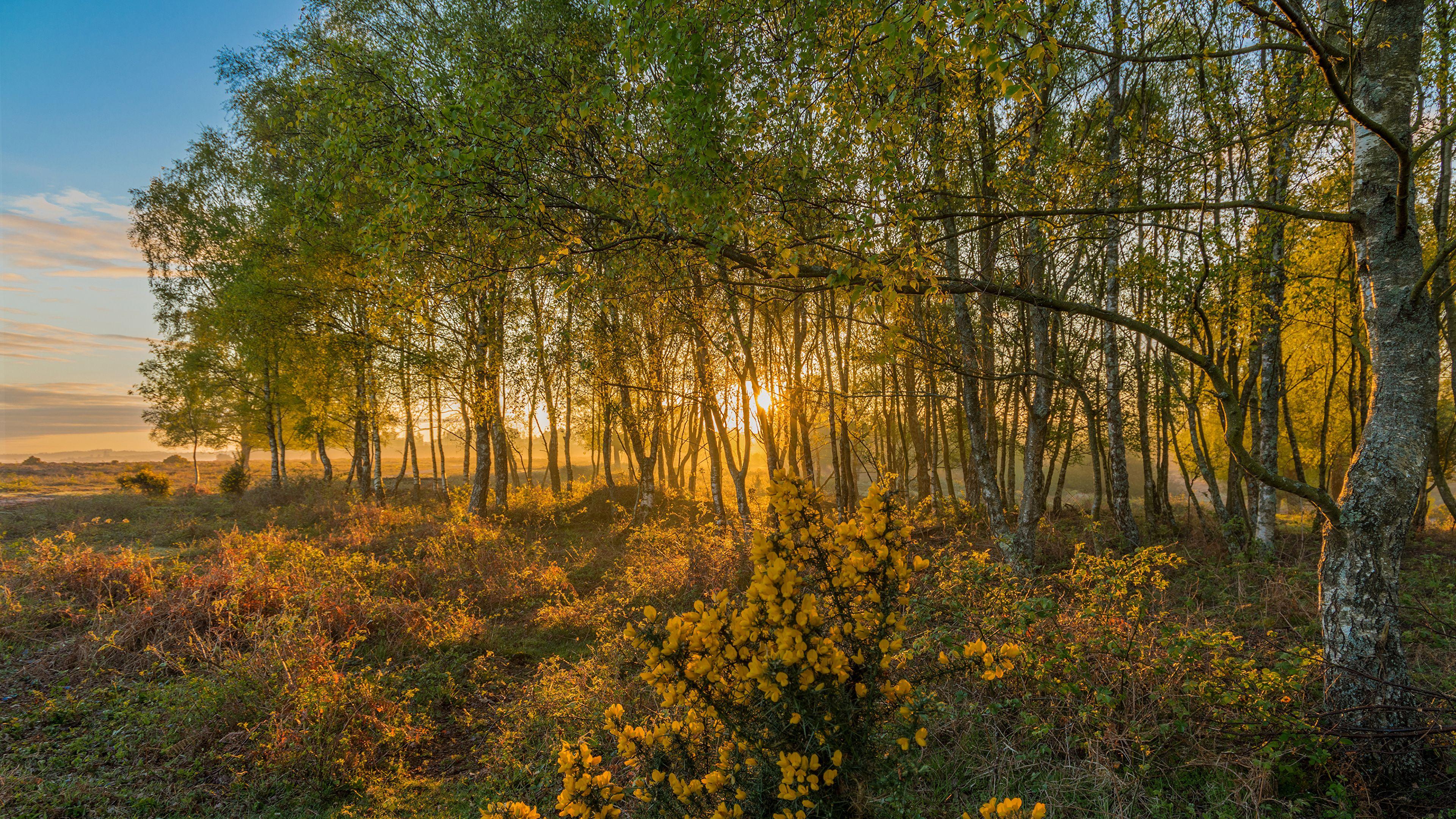 New England Desktop Wallpapers - Top Free New England Desktop ...