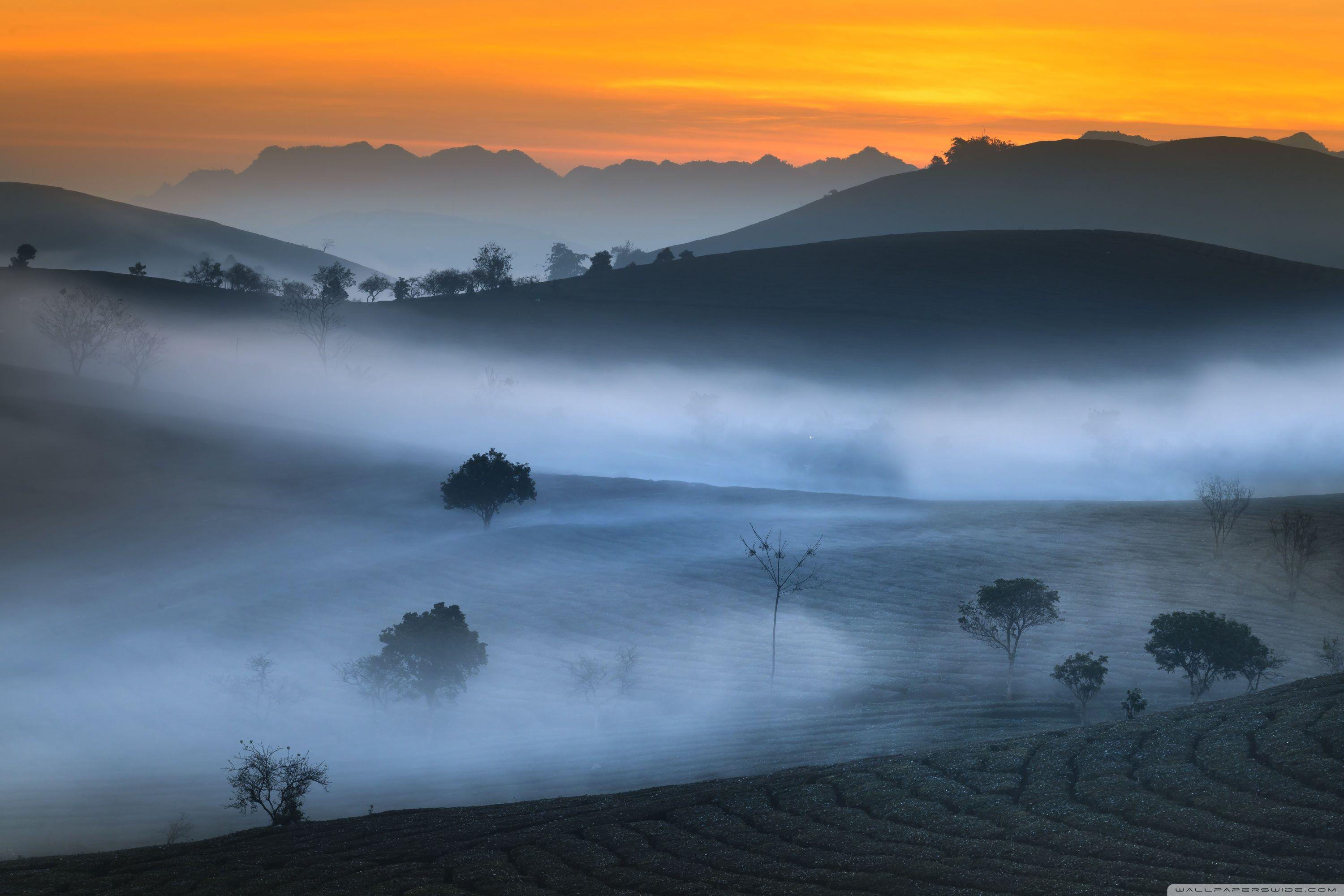 Tea Landscape Wallpapers - Top Free Tea Landscape Backgrounds ...