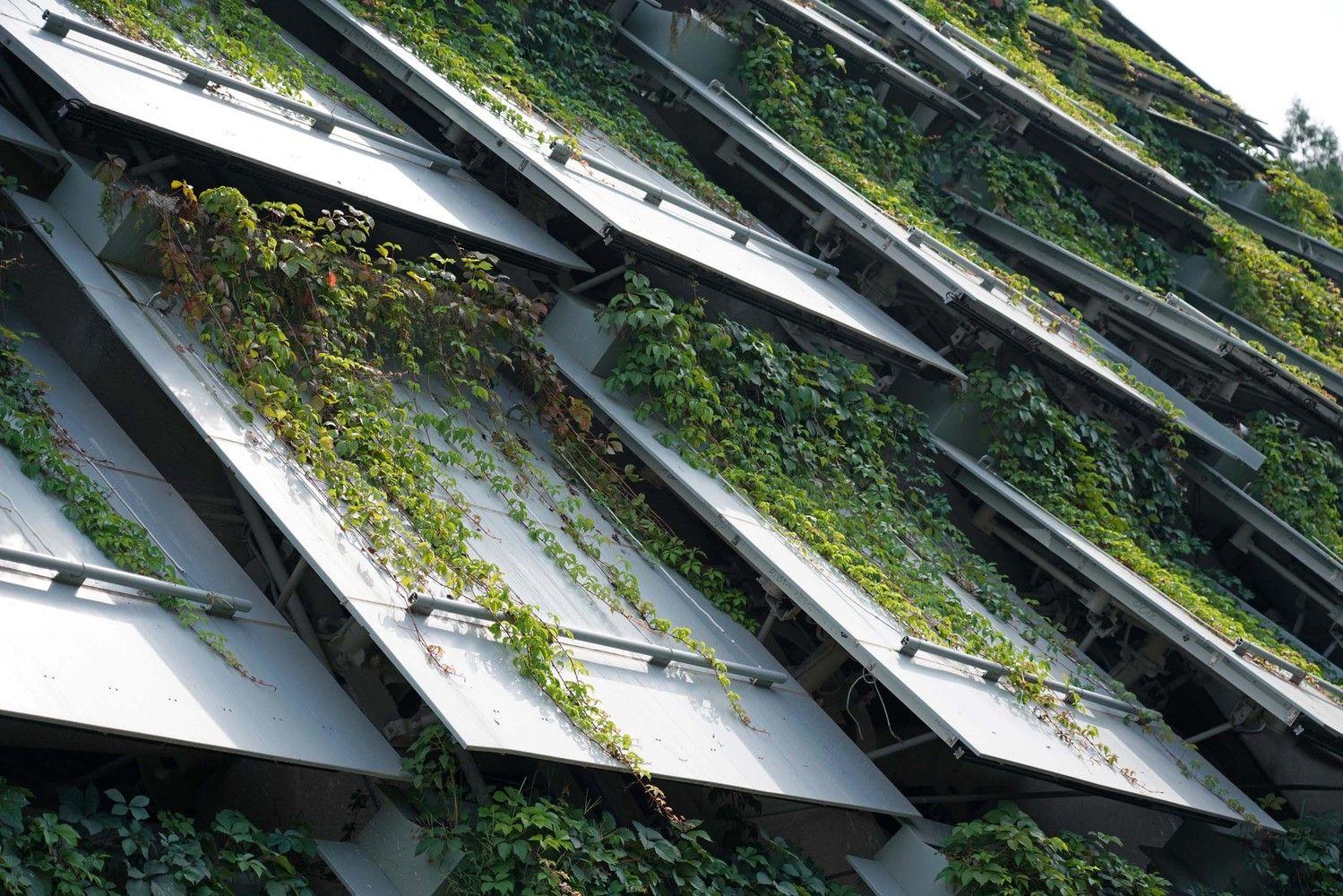 Solarpunk Wallpapers - Top Free Solarpunk Backgrounds - WallpaperAccess