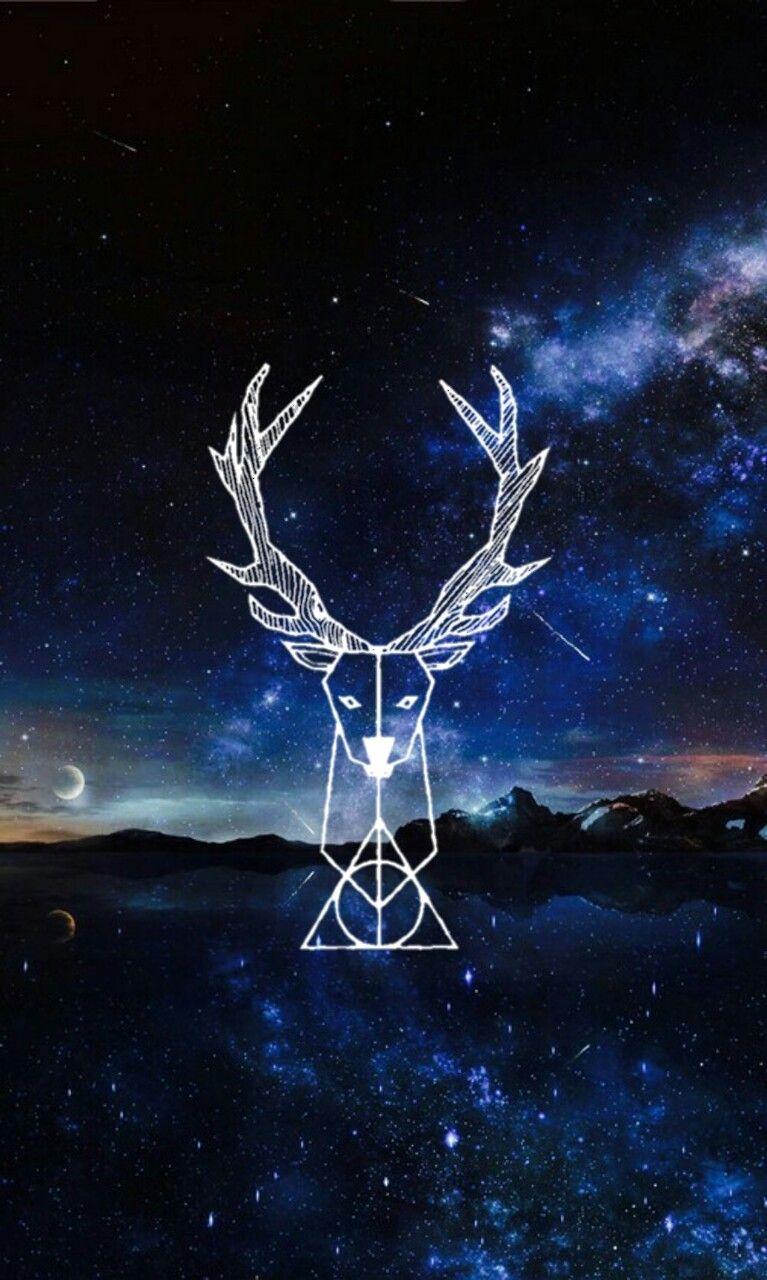 Harry Potter Patronus Wallpapers - Top Free Harry Potter Patronus ...