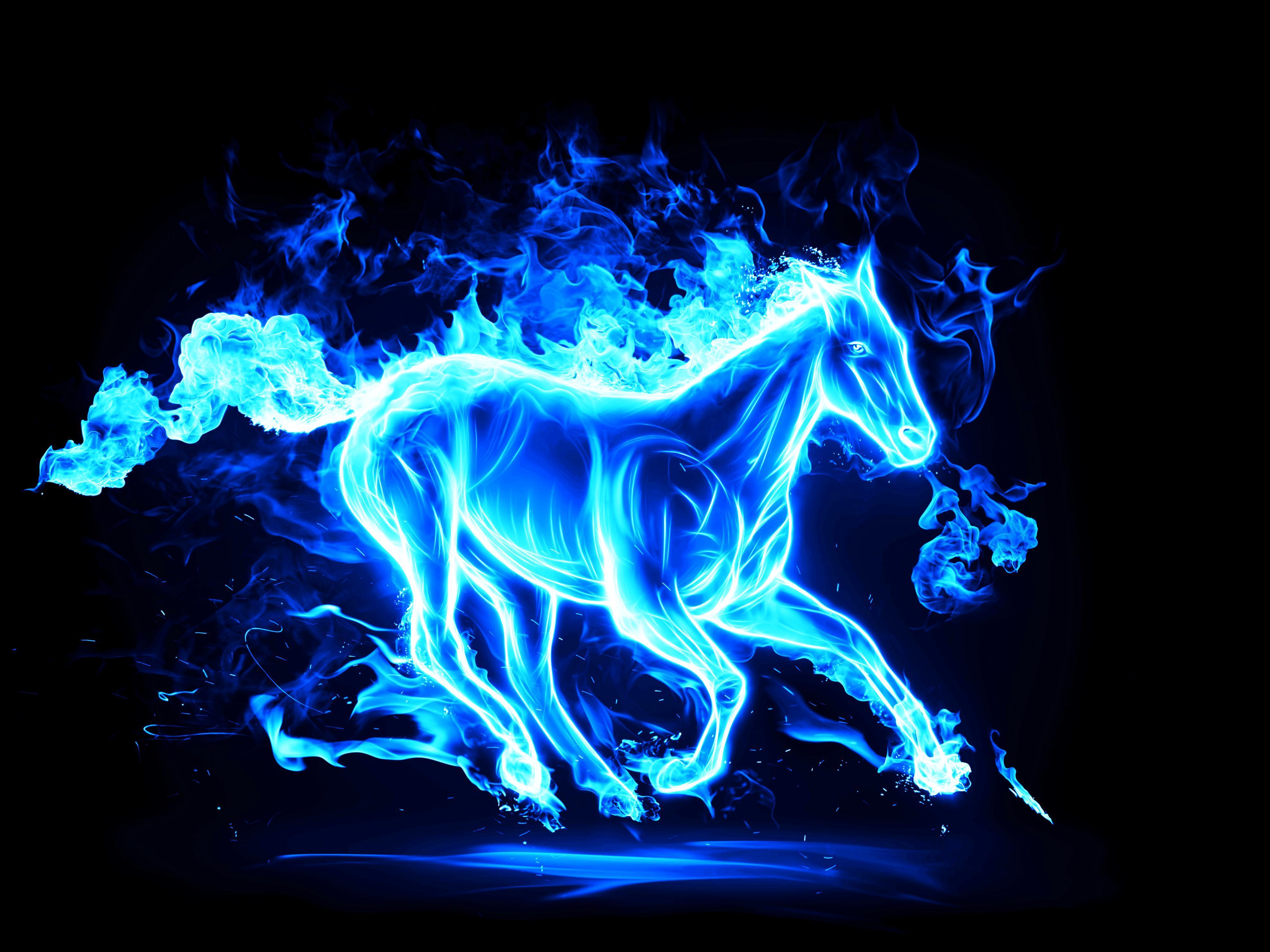 Blue Animal Wallpapers - Top Free Blue Animal Backgrounds - WallpaperAccess