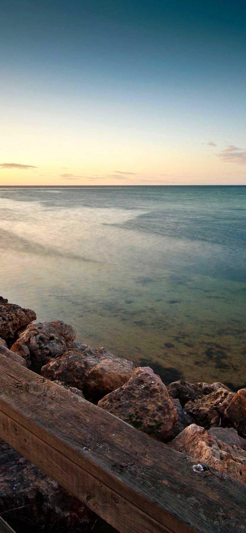 Clam Wallpapers - Top Free Clam Backgrounds - WallpaperAccess