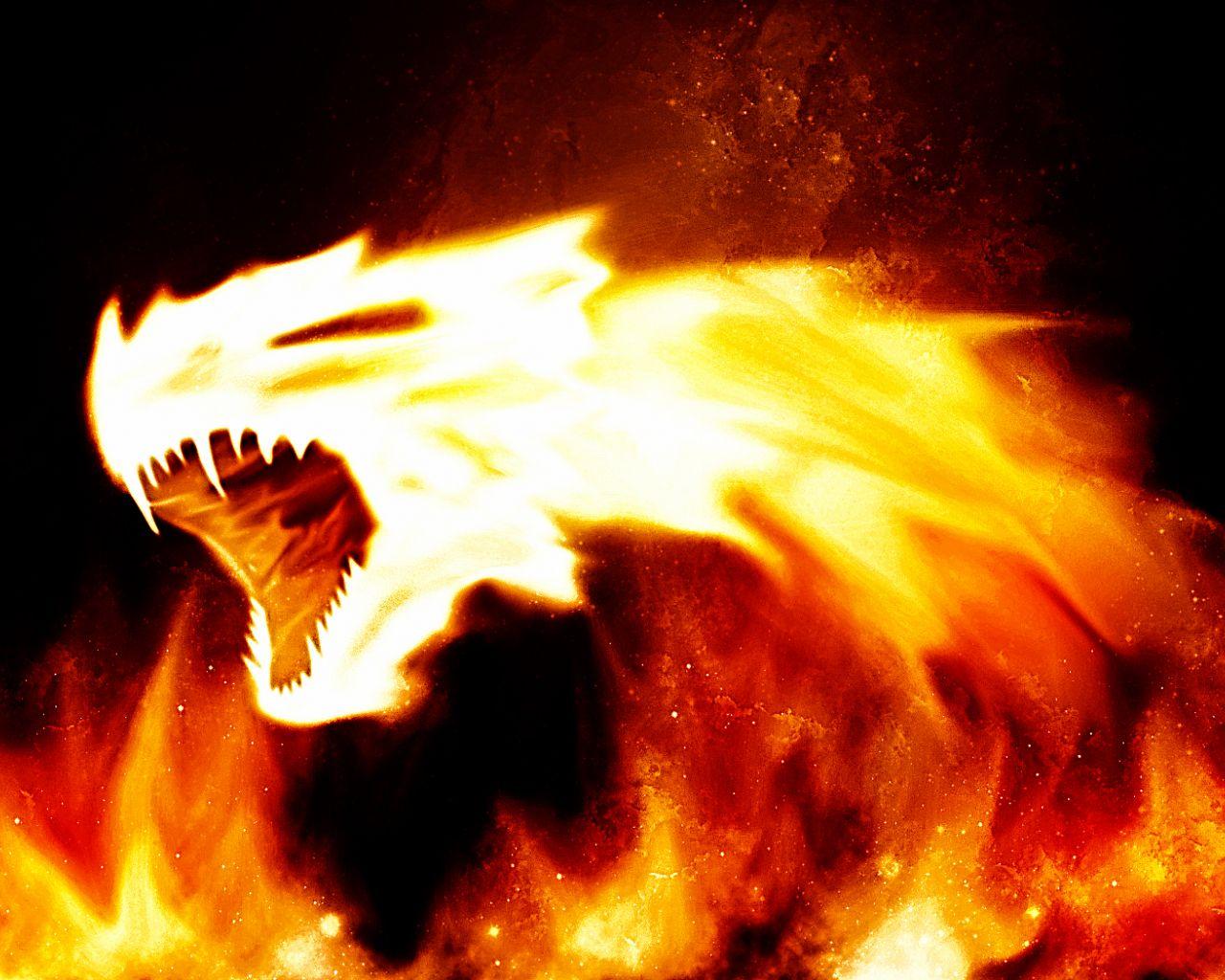 Fire Dragon HD Wallpapers - Top Free Fire Dragon HD Backgrounds ...