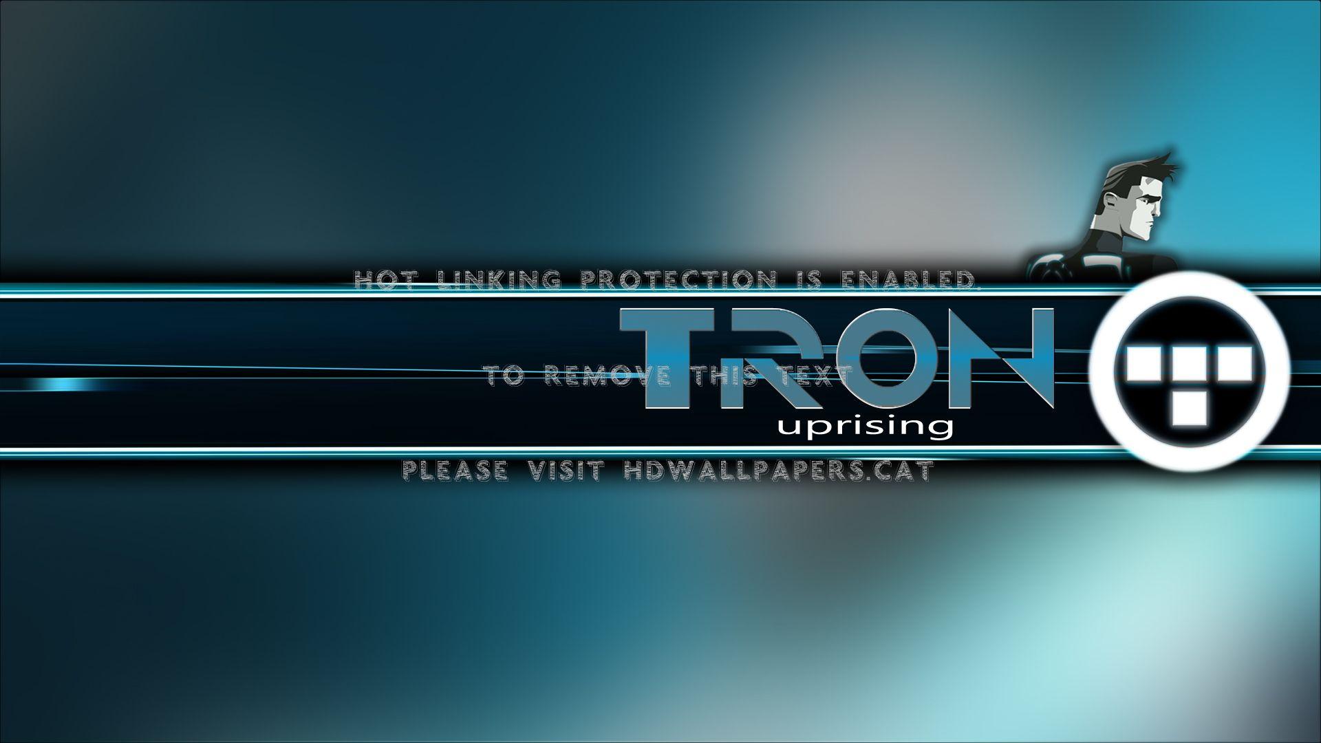 Tron Cat Wallpapers - Top Free Tron Cat Backgrounds - WallpaperAccess