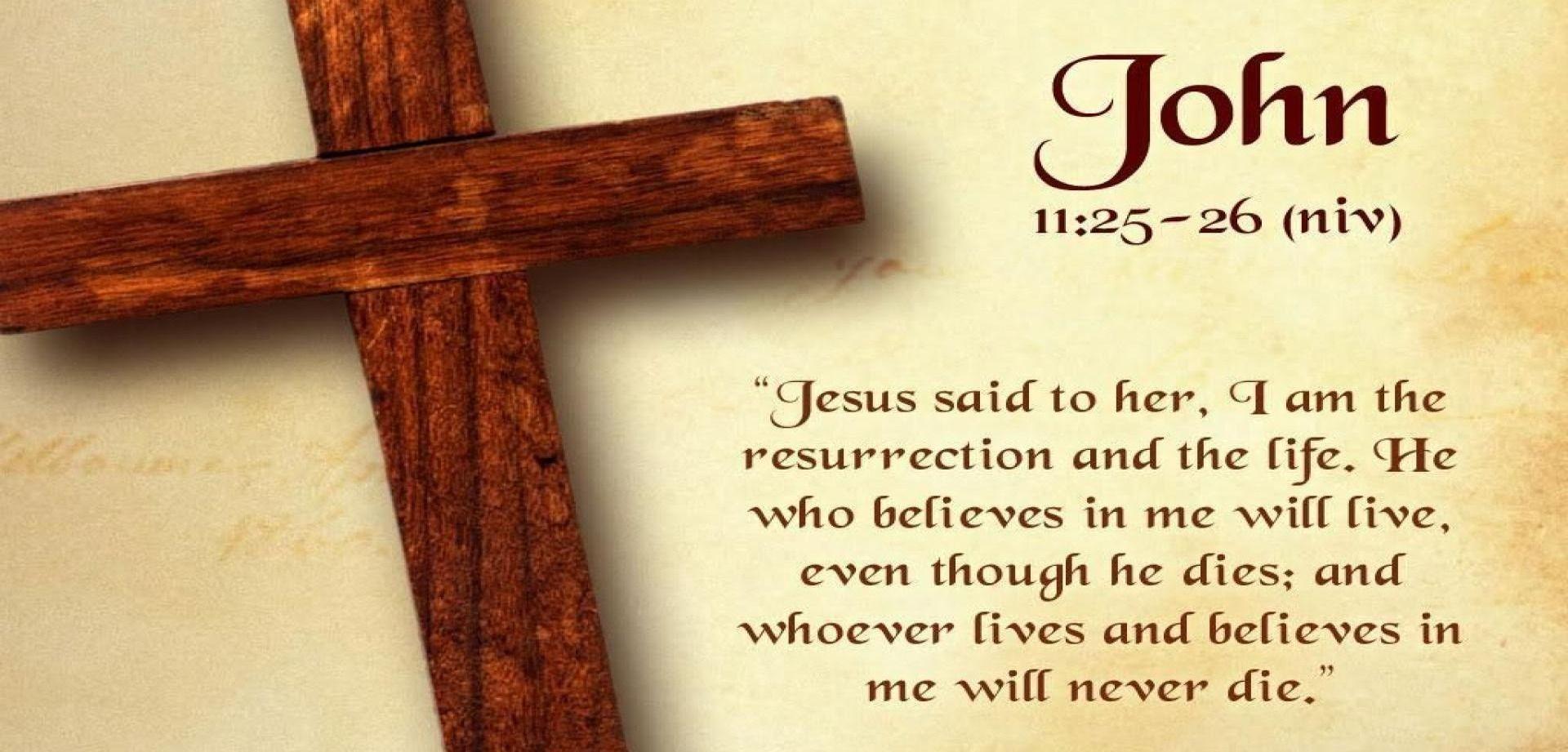 Reformed Wallpapers - Top Free Reformed Backgrounds - WallpaperAccess