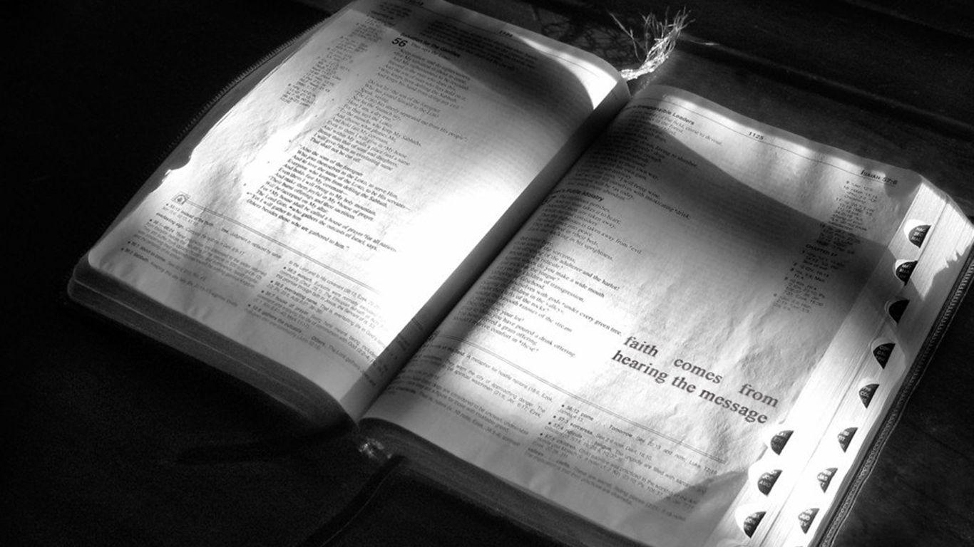 Reformed Wallpapers - Top Free Reformed Backgrounds - WallpaperAccess