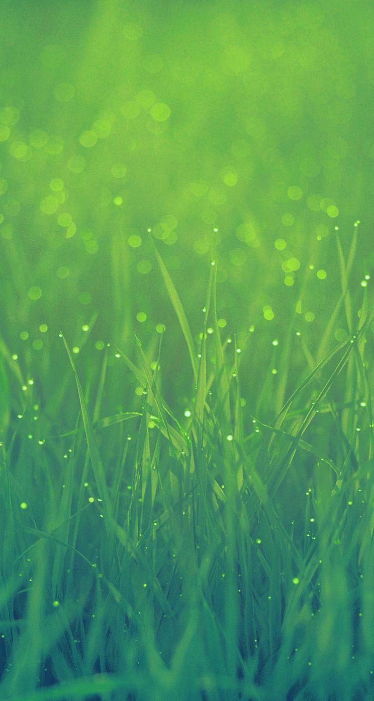 Grass Phone Wallpapers - Top Free Grass Phone Backgrounds - WallpaperAccess