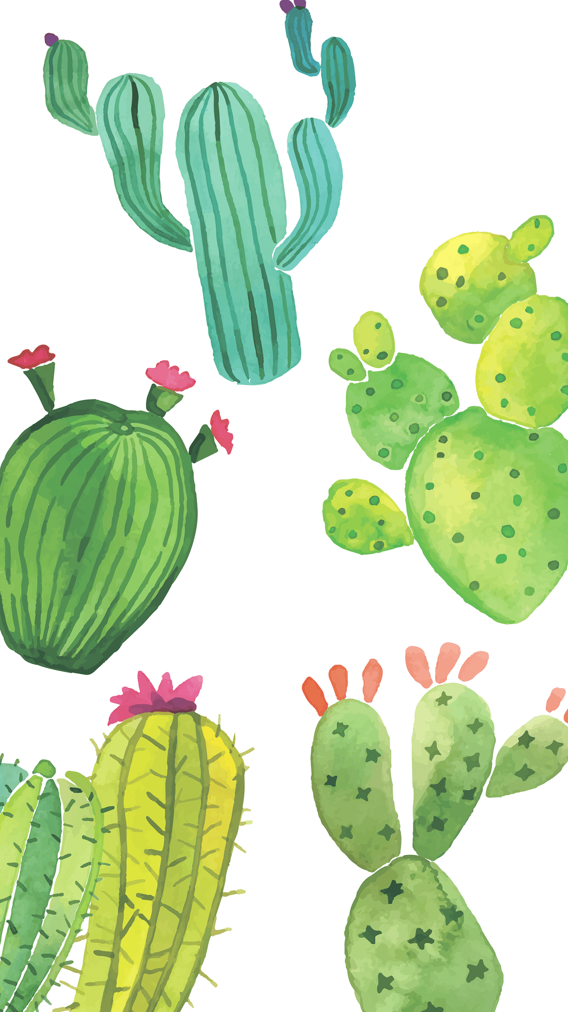 Cactus Plant Wallpapers - Top Free Cactus Plant Backgrounds ...