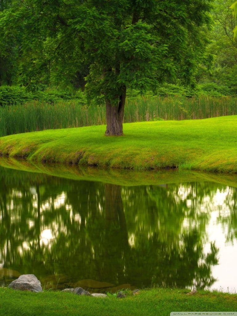 Grass Phone Wallpapers - Top Free Grass Phone Backgrounds - WallpaperAccess