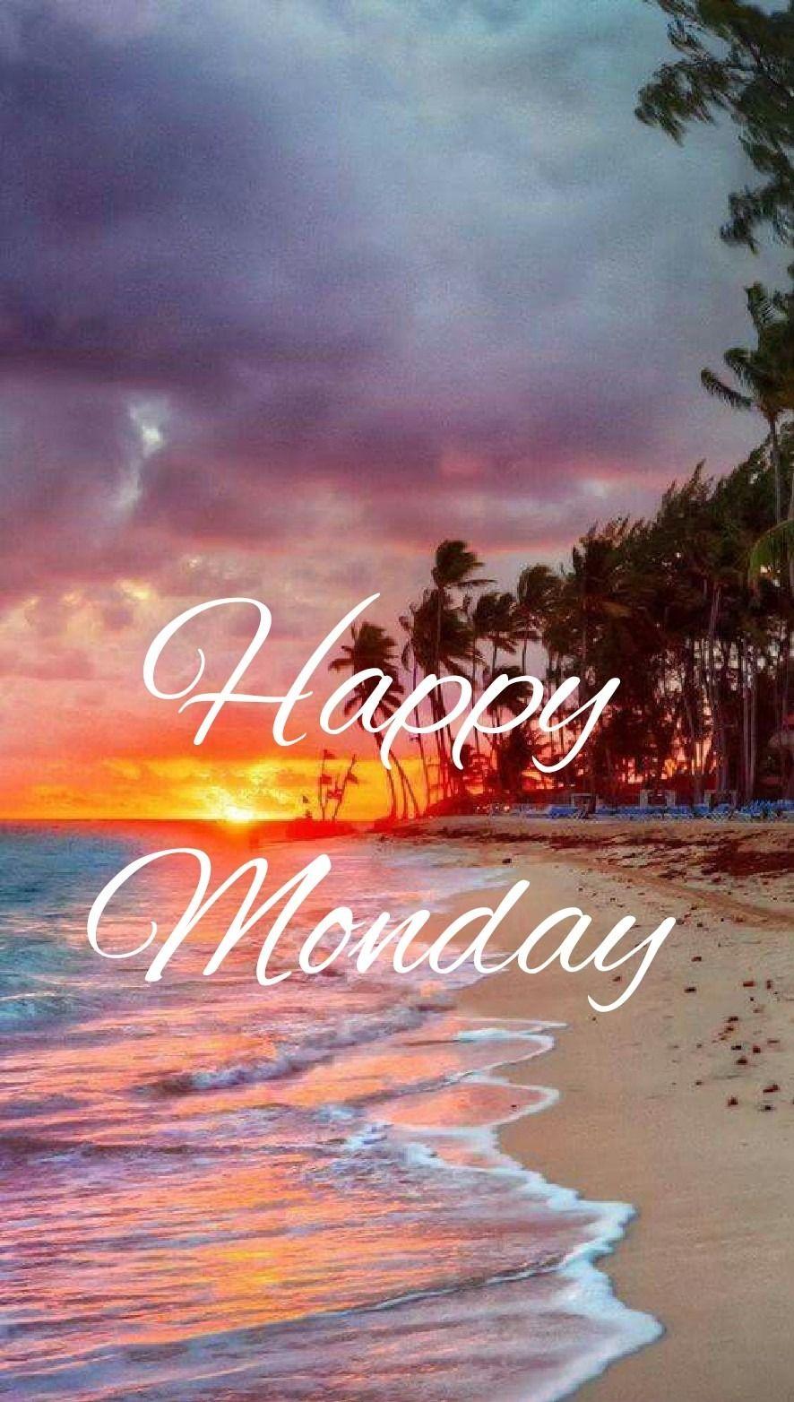 Cute Monday Wallpapers - Top Free Cute Monday Backgrounds - WallpaperAccess