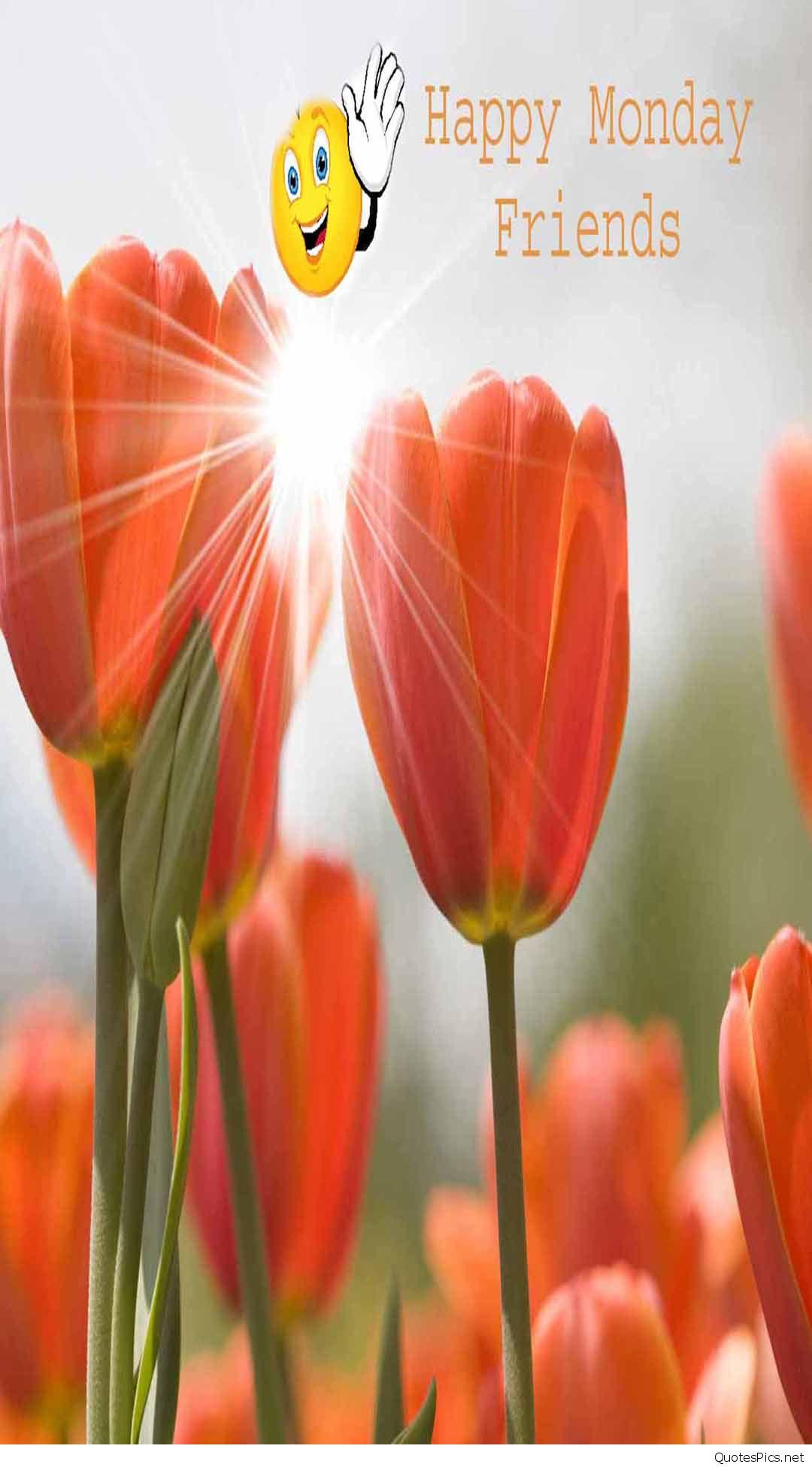 Happy Monday Wallpapers - Top Free Happy Monday Backgrounds ...