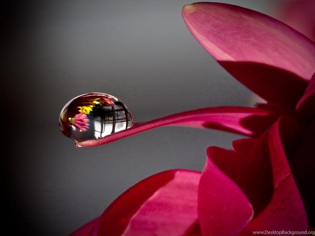 HD Clear Wallpapers - Top Free HD Clear Backgrounds - WallpaperAccess