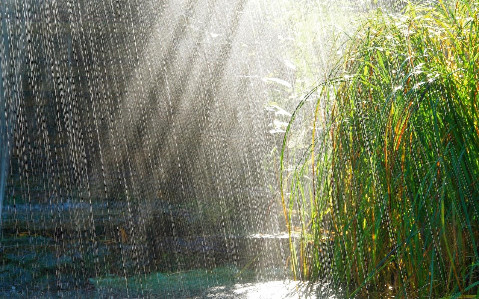 Rainy Day Desktop Wallpapers - Top Free Rainy Day Desktop Backgrounds ...