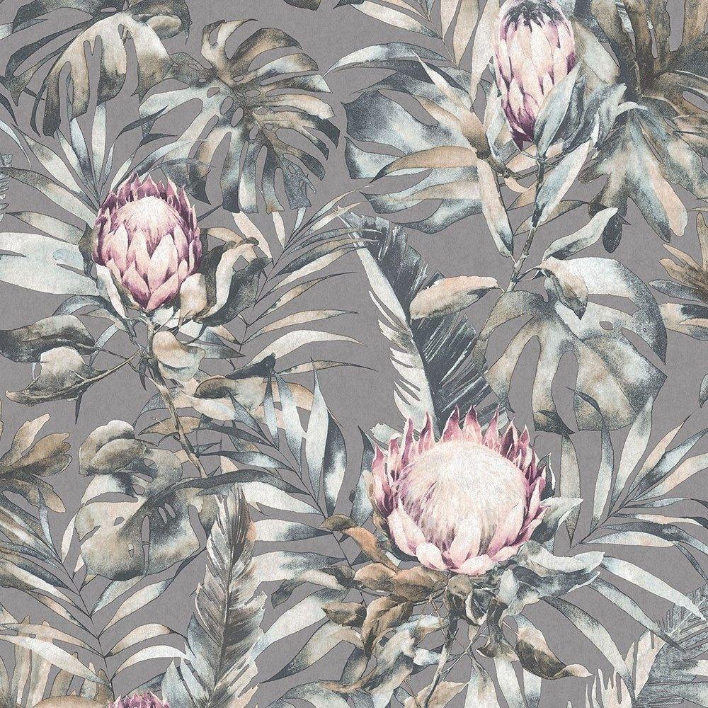 Protea Wallpapers - Top Free Protea Backgrounds - WallpaperAccess