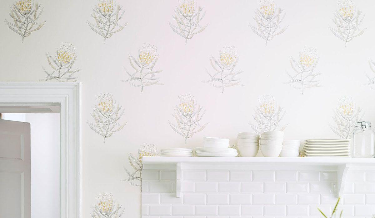 Protea Wallpapers - Top Free Protea Backgrounds - WallpaperAccess