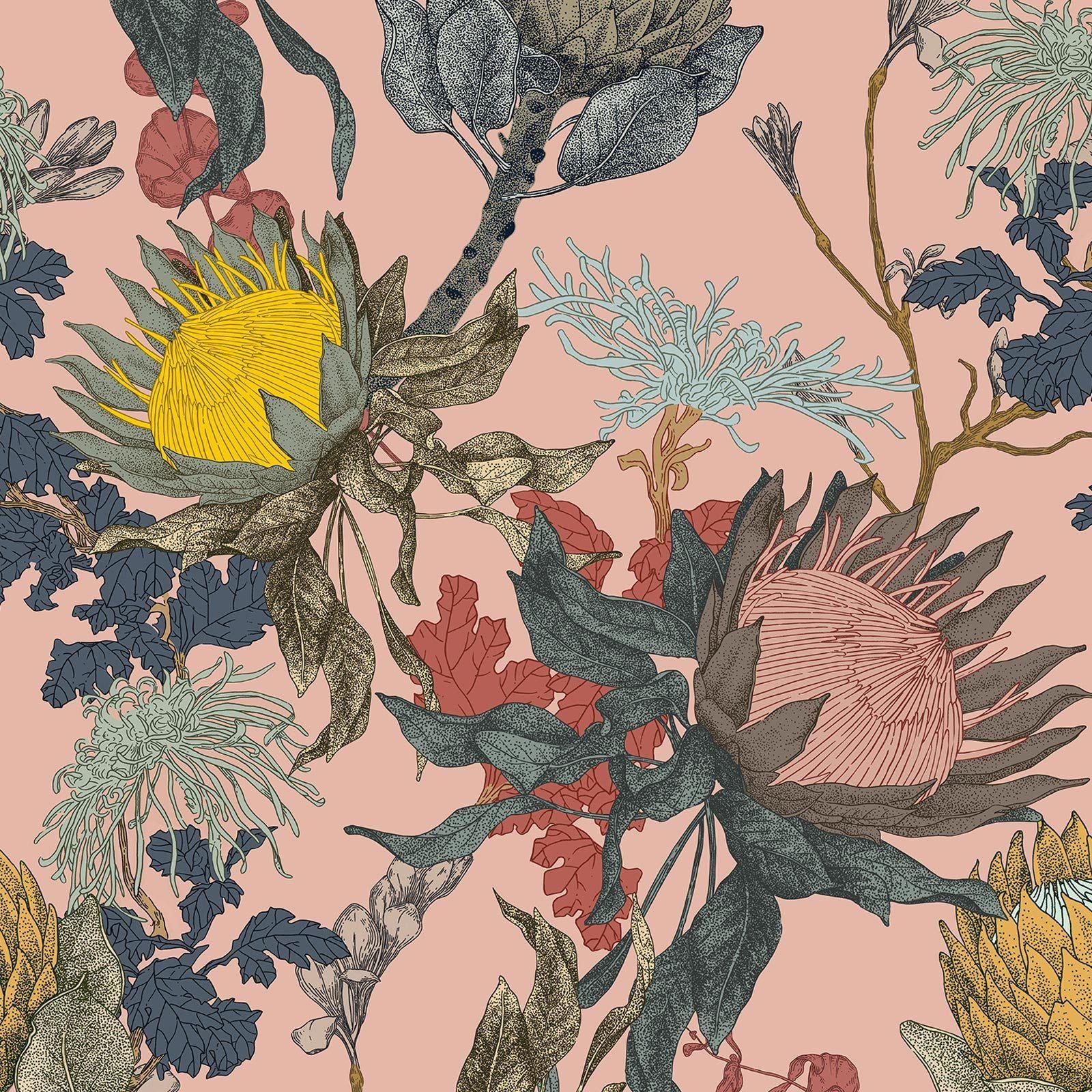 Protea Wallpapers - Top Free Protea Backgrounds - WallpaperAccess