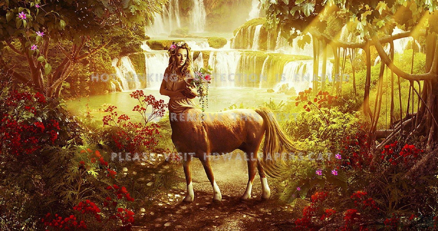 Centaur Wallpapers - Top Free Centaur Backgrounds - WallpaperAccess