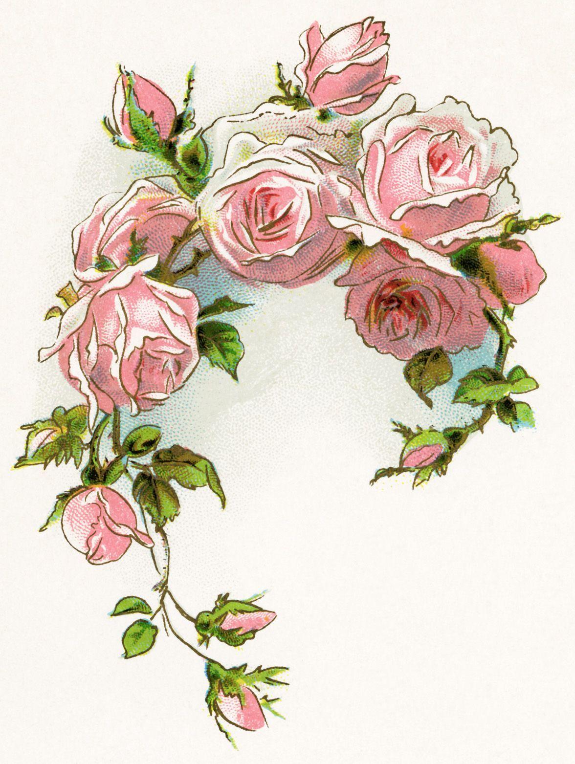 Victorian Rose Wallpapers - Top Free Victorian Rose Backgrounds ...