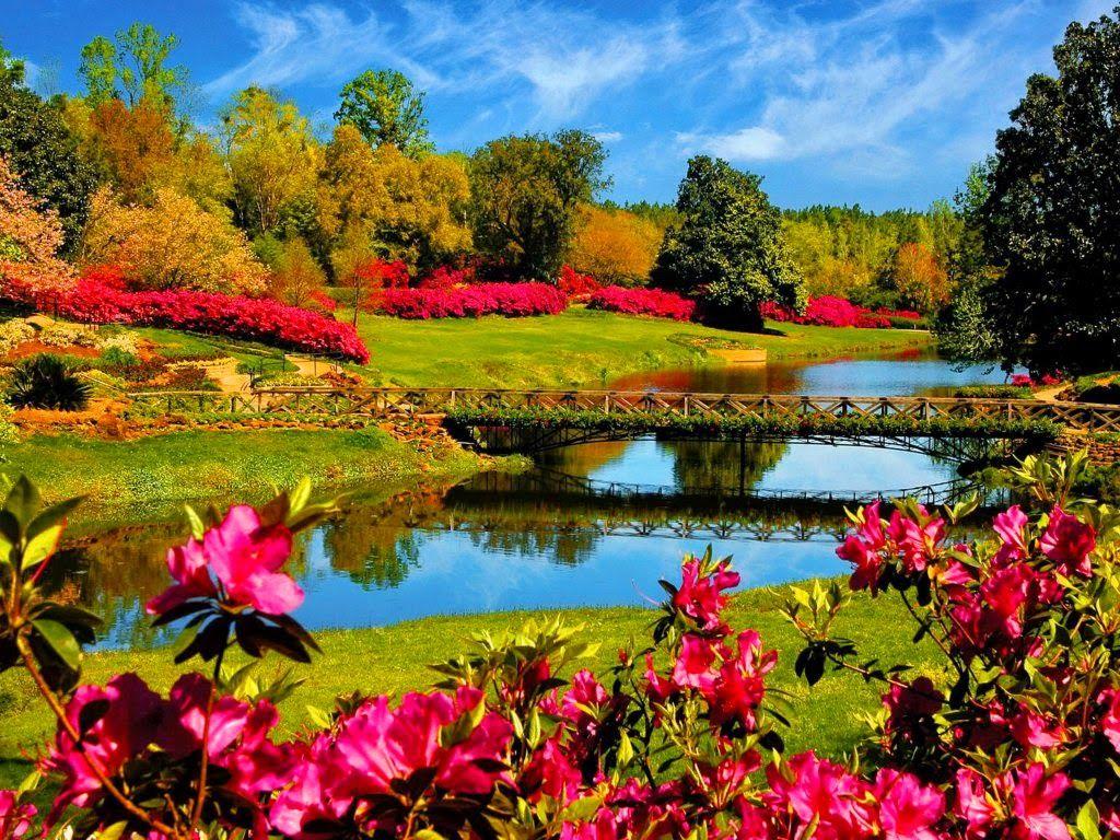 June Nature Wallpapers - Top Free June Nature Backgrounds - WallpaperAccess