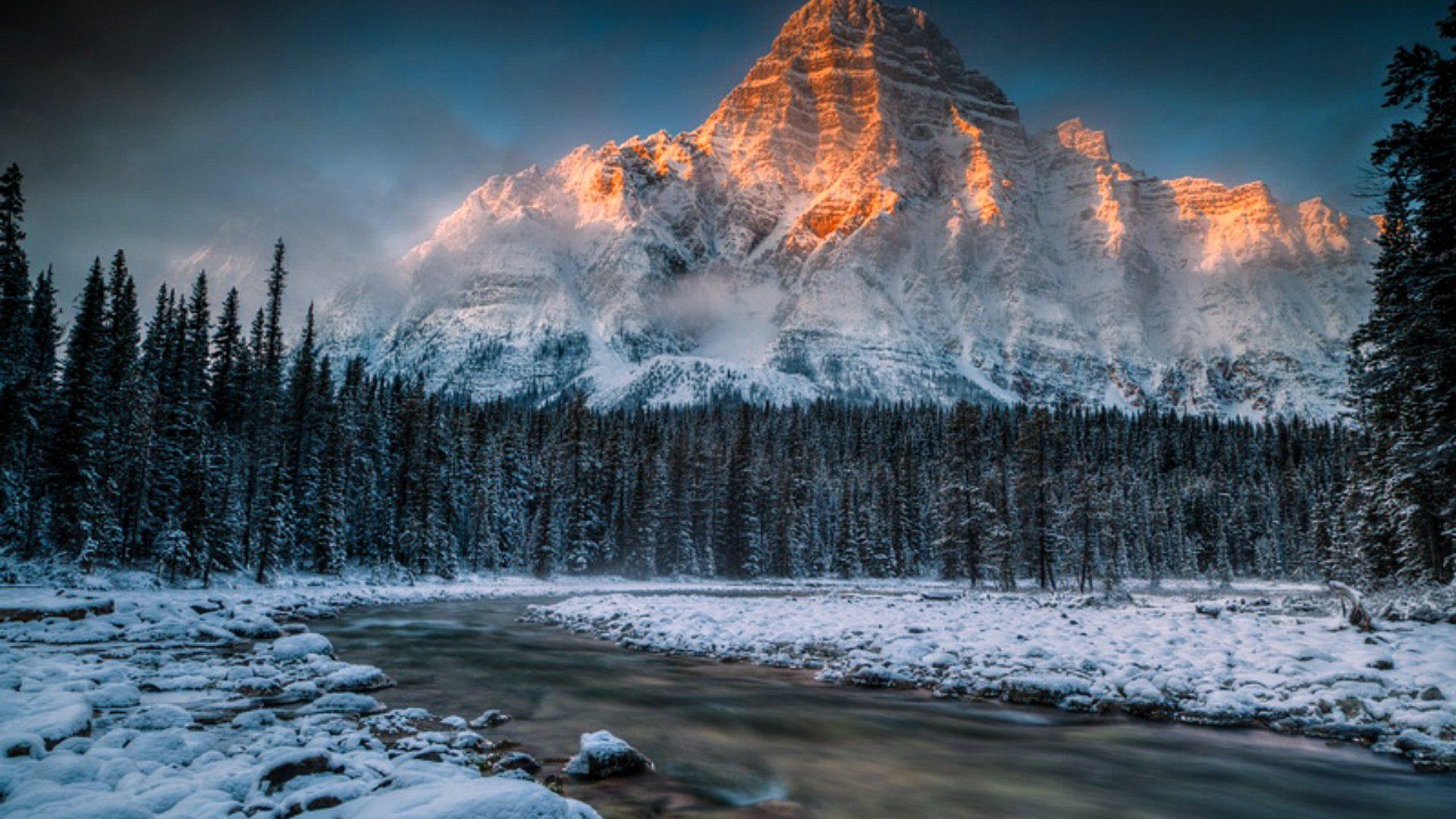 Iceland Forest Wallpapers - Top Free Iceland Forest Backgrounds ...