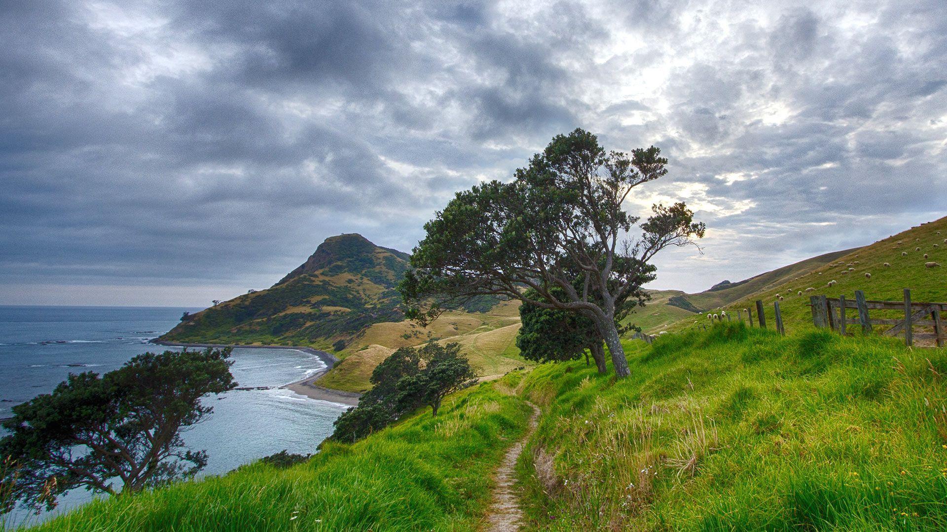 New Zealand Scenery Wallpapers - Top Free New Zealand Scenery ...