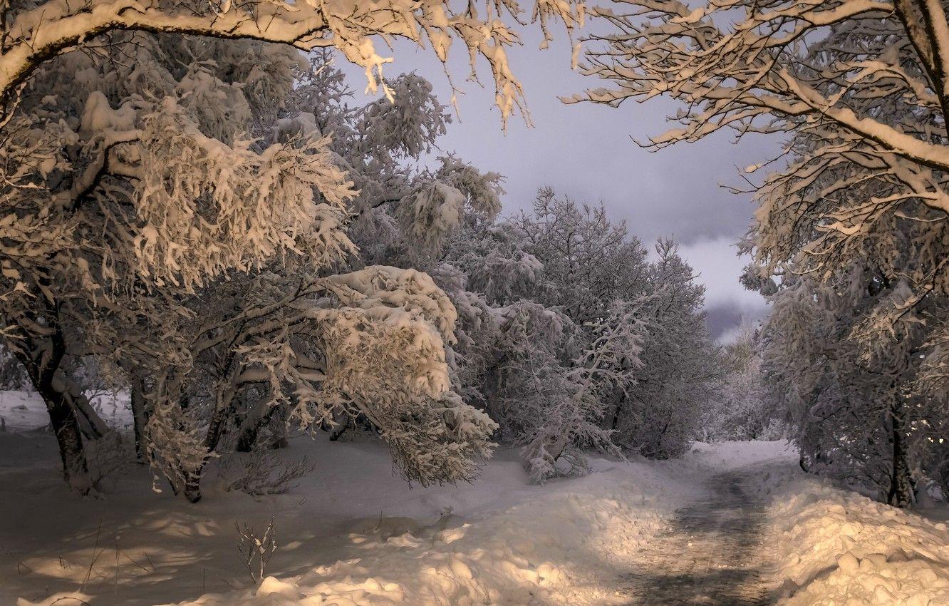 Iceland Forest Wallpapers - Top Free Iceland Forest Backgrounds ...