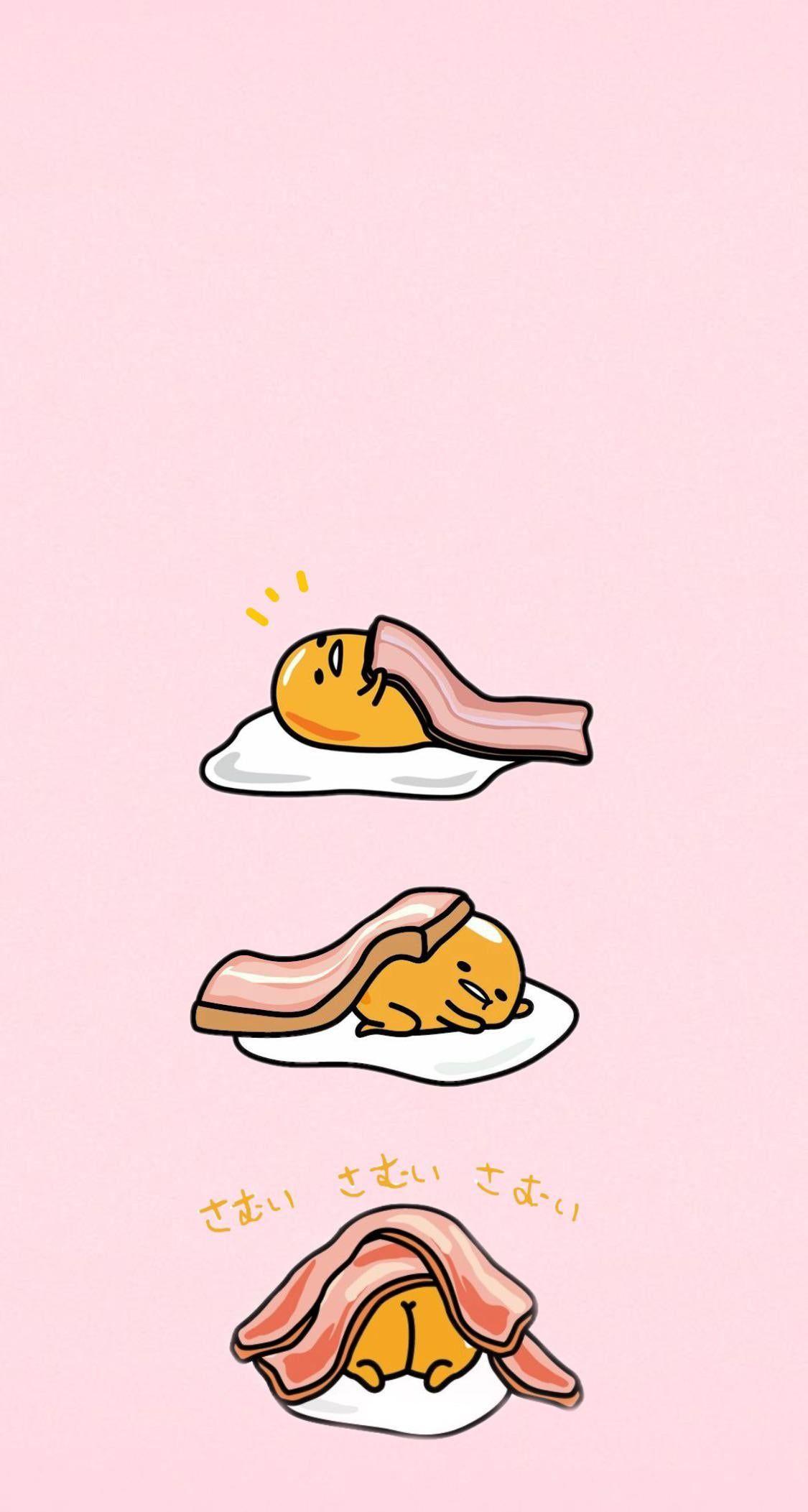Lazy Egg Wallpapers - Top Free Lazy Egg Backgrounds - WallpaperAccess