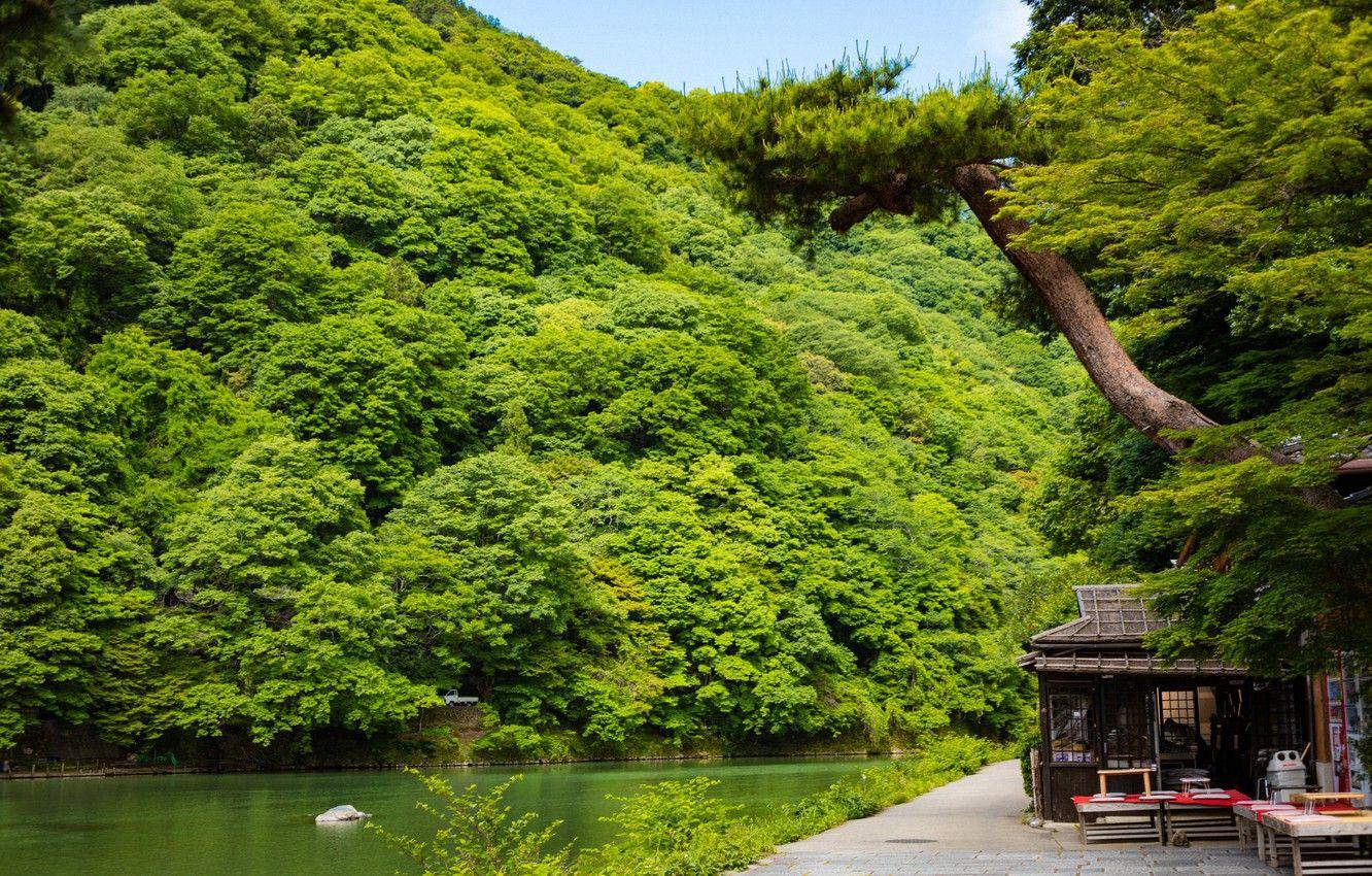 Japan Coast Wallpapers - Top Free Japan Coast Backgrounds - WallpaperAccess