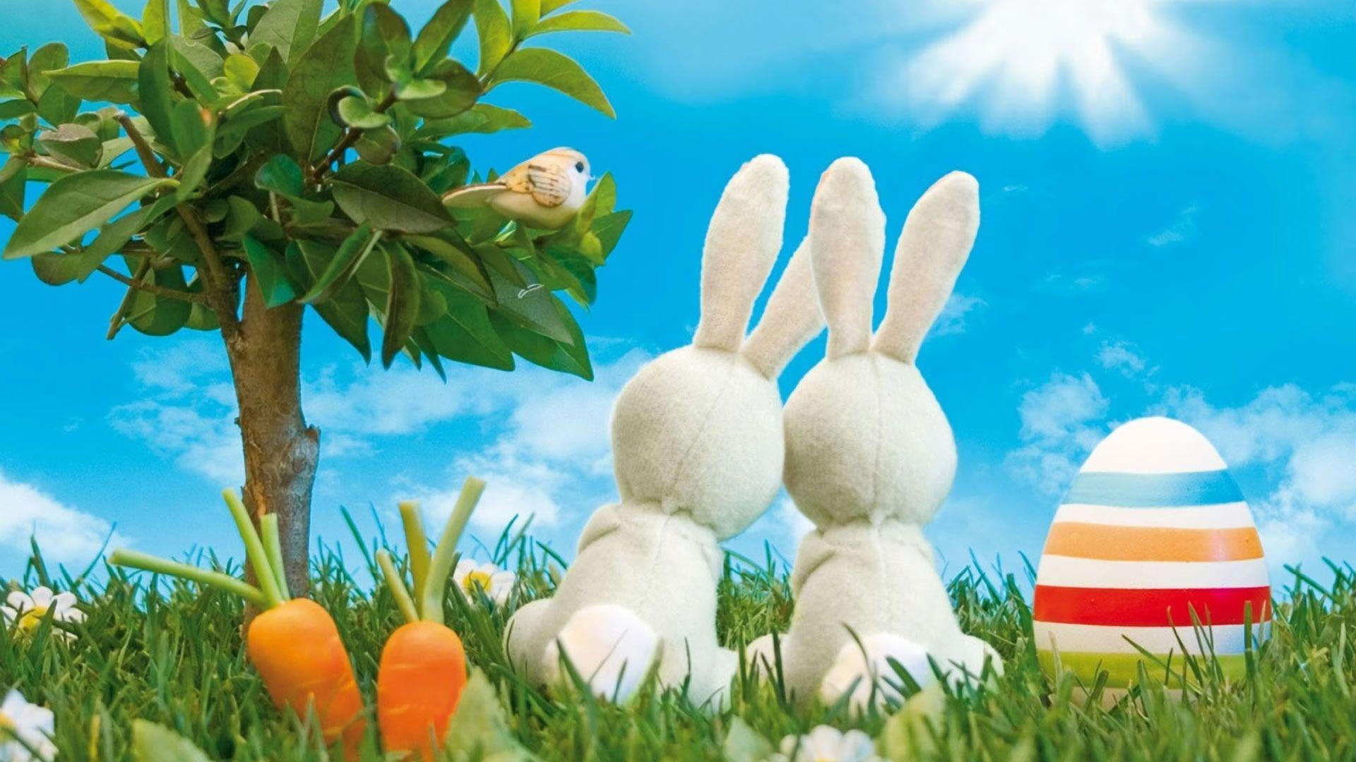 3D Rabbit Wallpapers - Top Free 3D Rabbit Backgrounds - WallpaperAccess