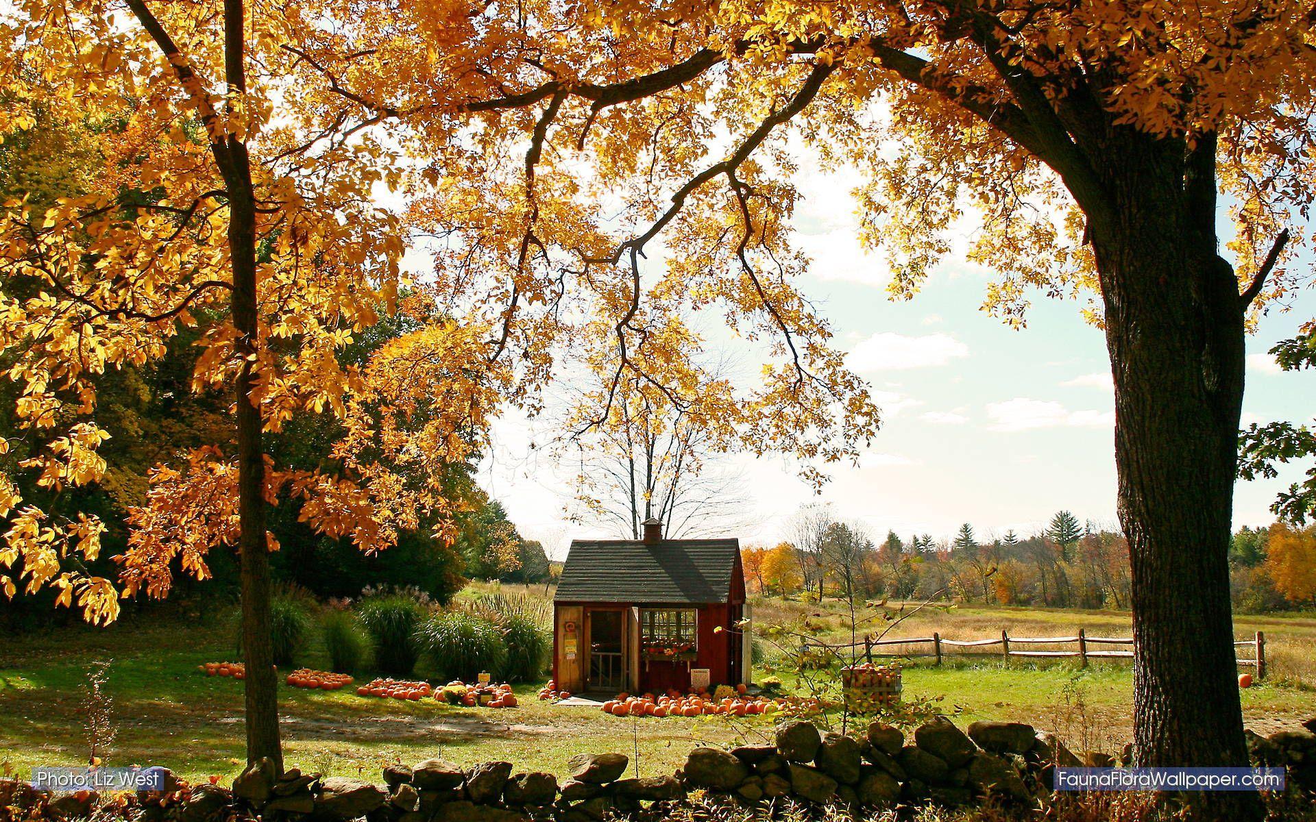 New England Desktop Wallpapers - Top Free New England Desktop ...