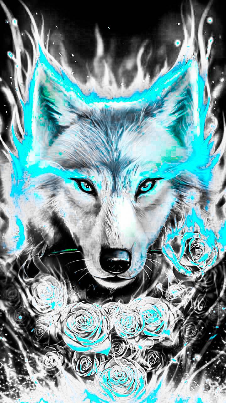 Pretty Wolf Wallpapers - Top Free Pretty Wolf Backgrounds - WallpaperAccess