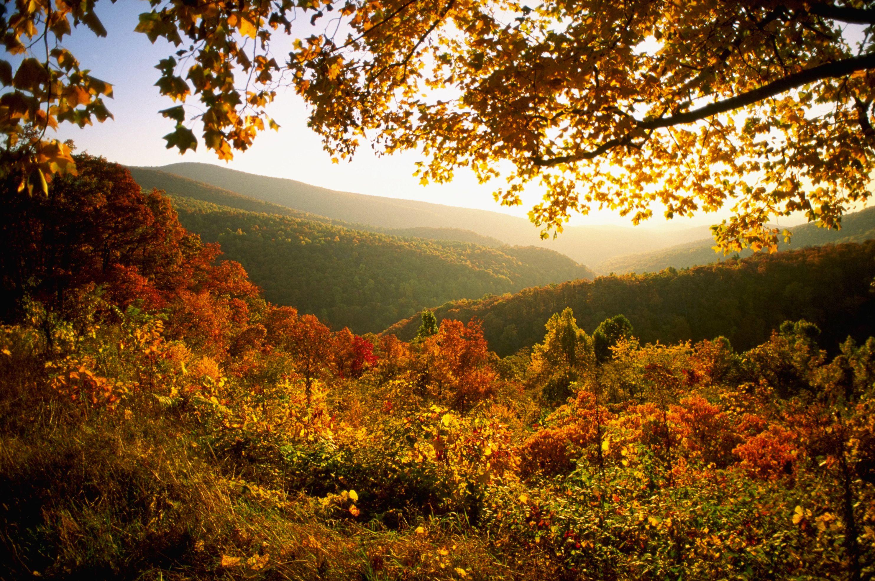 Blue Ridge Mountains Wallpapers - Top Free Blue Ridge Mountains ...