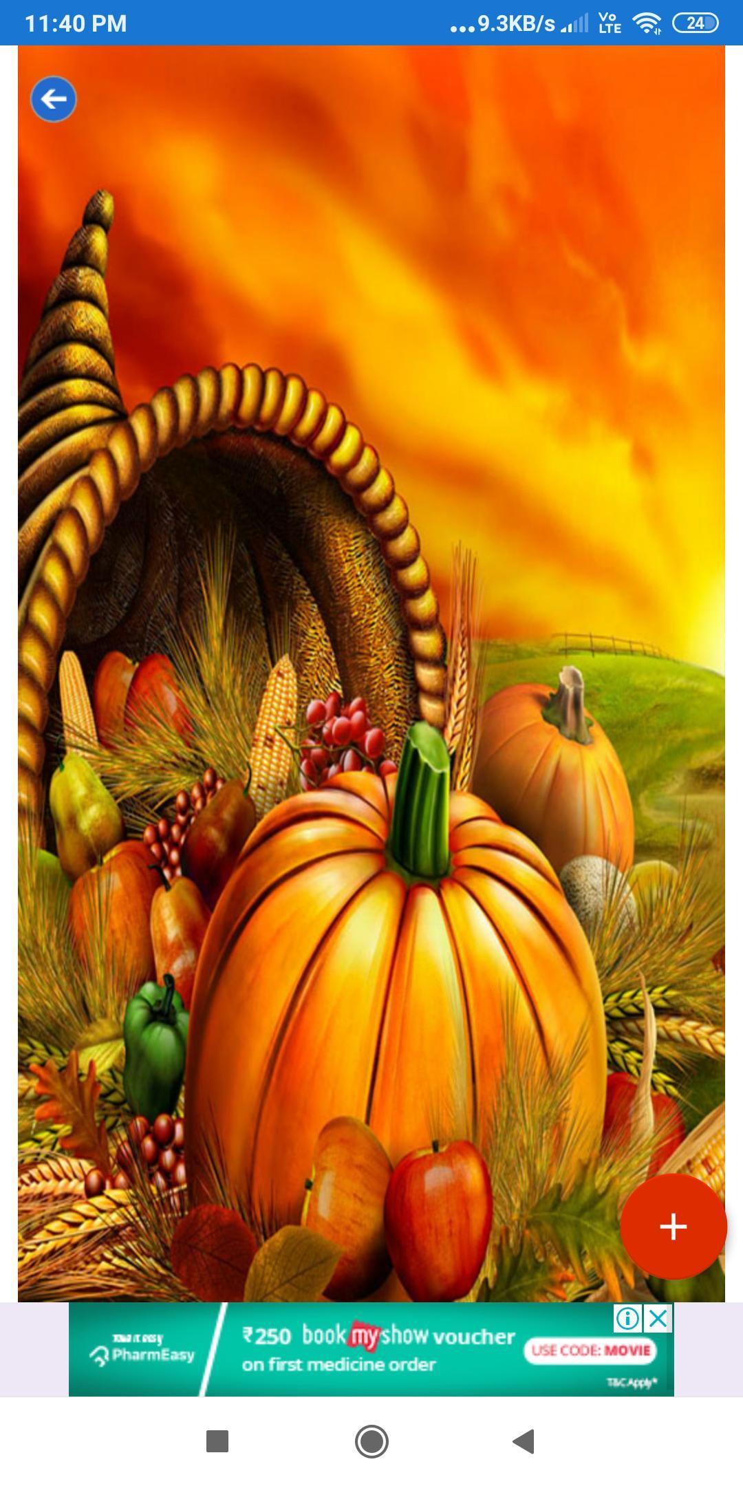 First Thanksgiving Wallpapers - Top Free First Thanksgiving Backgrounds ...