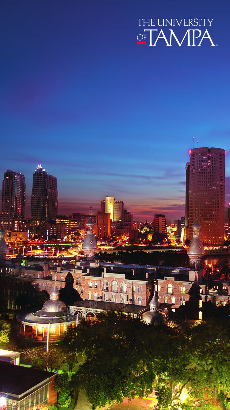 Tampa Skyline Wallpapers - Top Free Tampa Skyline Backgrounds ...